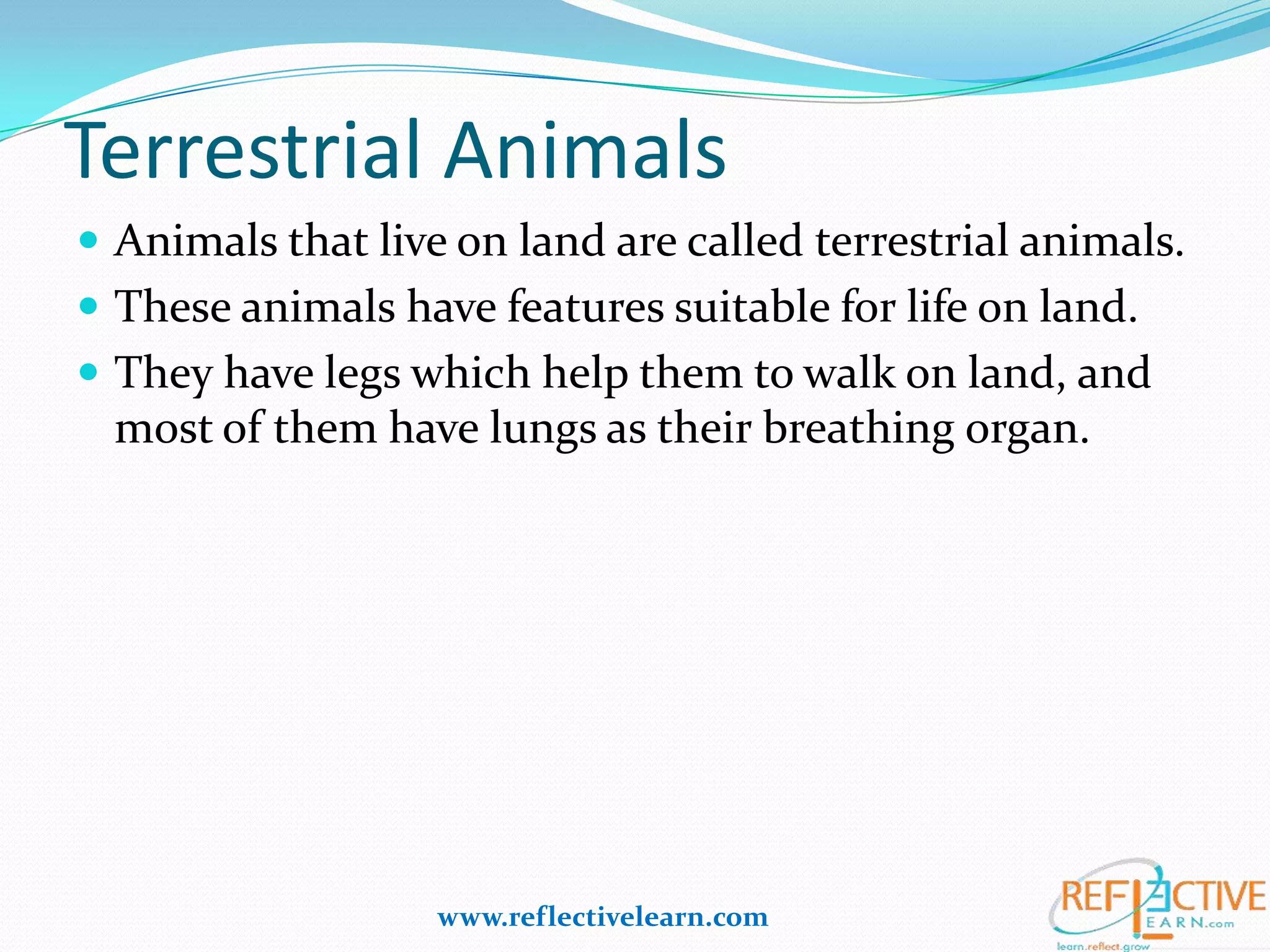 Class IV - Adaptations-How Animals Survive | PPTX