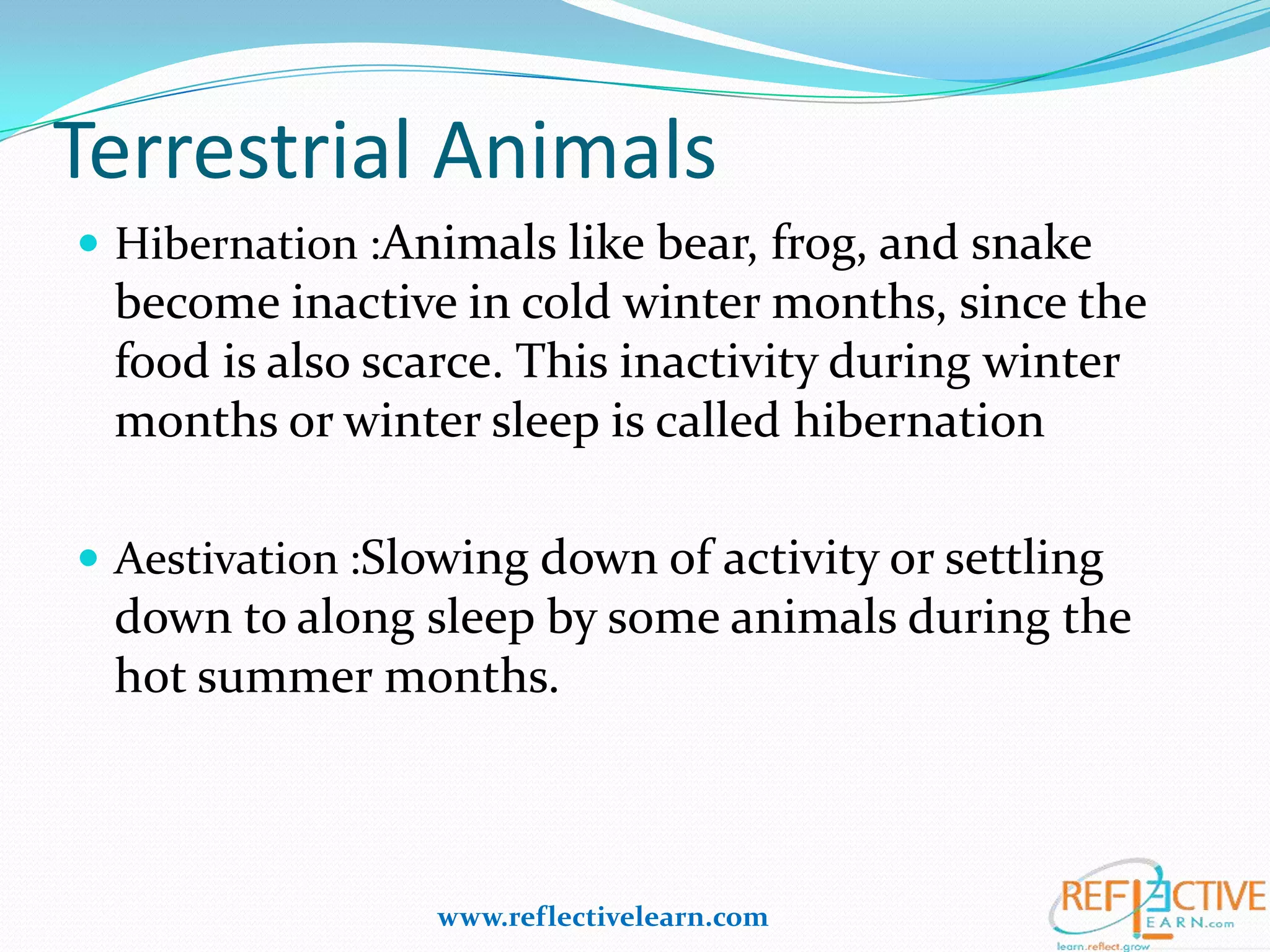 Class IV - Adaptations-How Animals Survive | PPTX