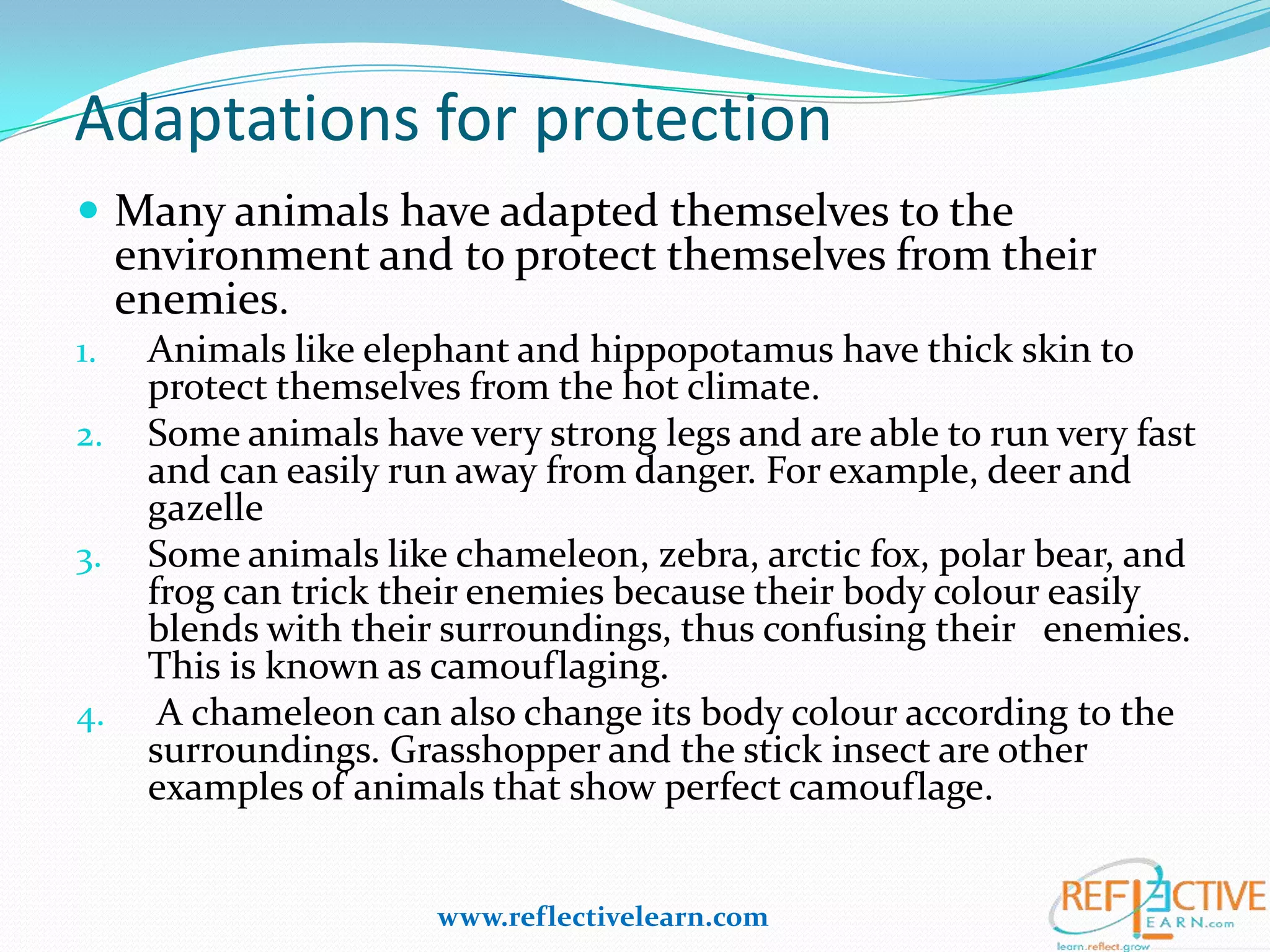 Class IV - Adaptations-How Animals Survive | PPTX