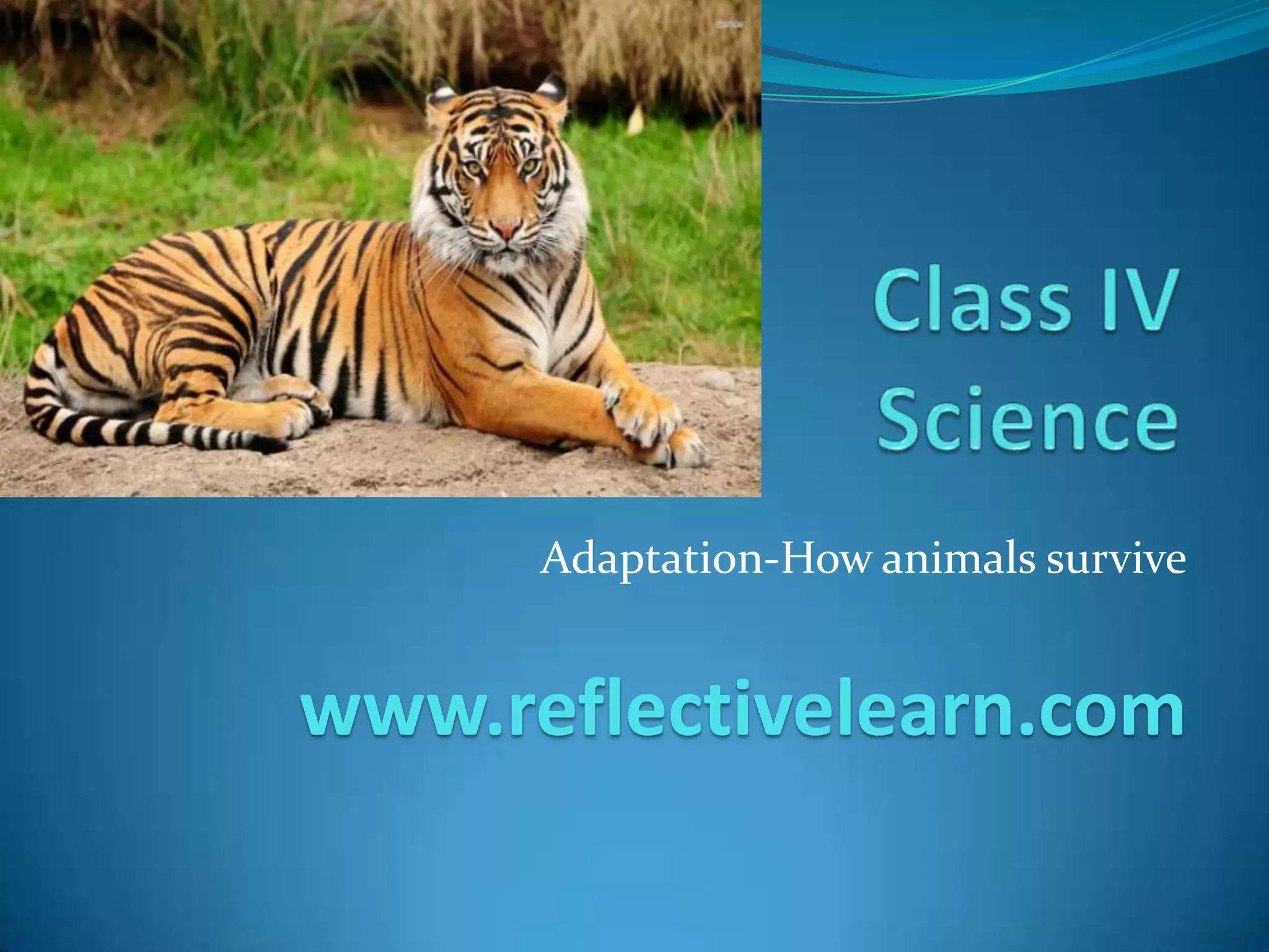 Class IV - Adaptations-How Animals Survive | PPT
