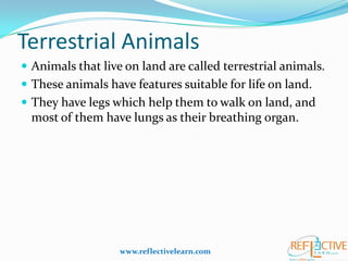 Class IV - Adaptations-How Animals Survive | PPTX