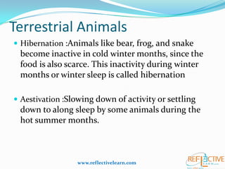 Class IV - Adaptations-How Animals Survive | PPTX