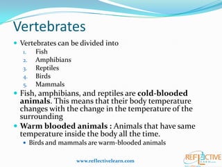 Class IV - Adaptations-How Animals Survive | PPTX