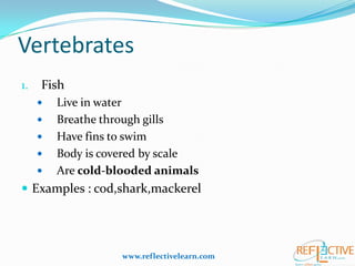 Class IV - Adaptations-How Animals Survive | PPTX