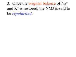 Summary depolarization and repolarization | PPT
