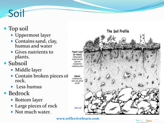 Class IV Science -Soil | PPTX