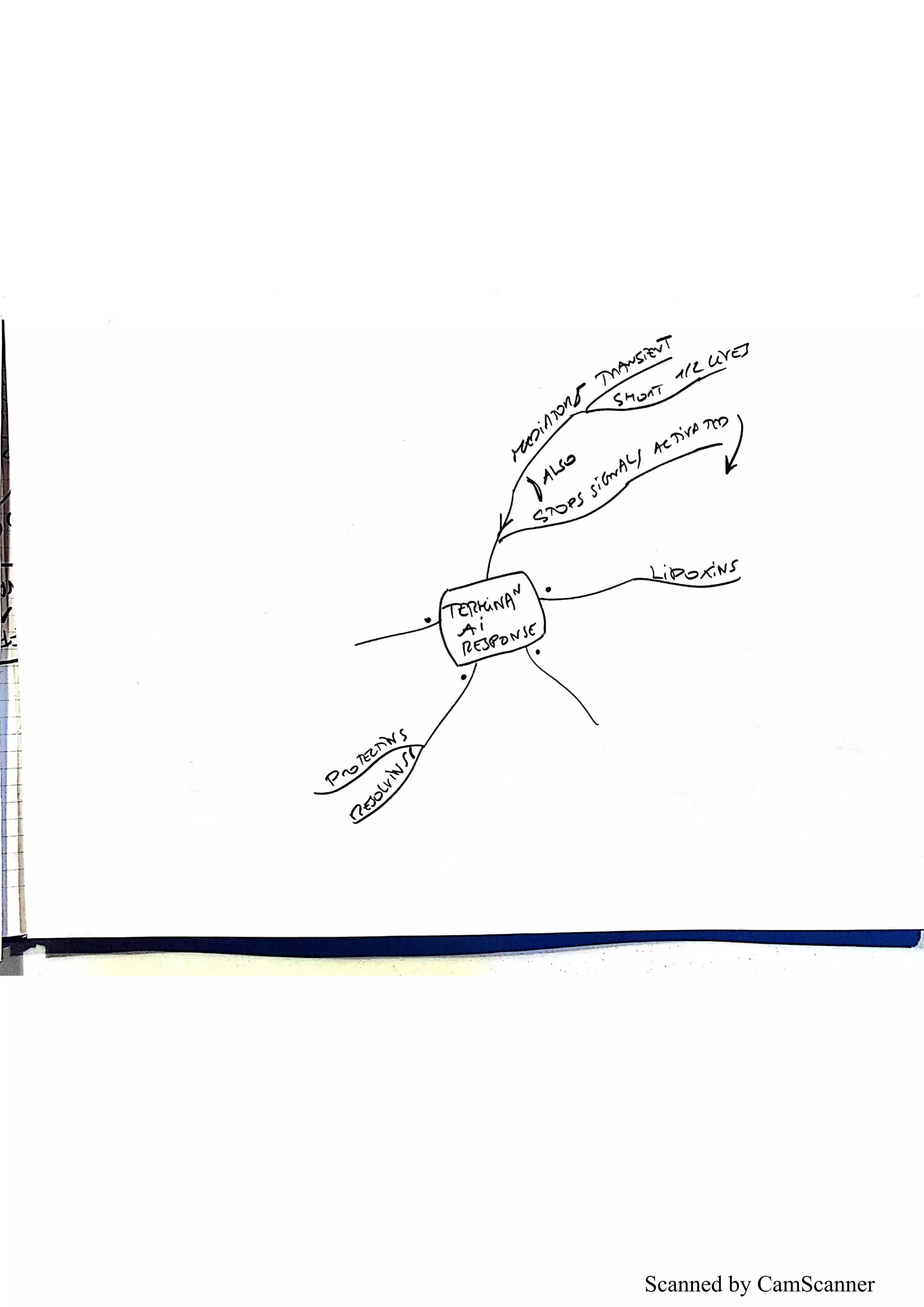 Mind Maps - Robbins Pathology - Inflammation & Repair - Summary | PDF