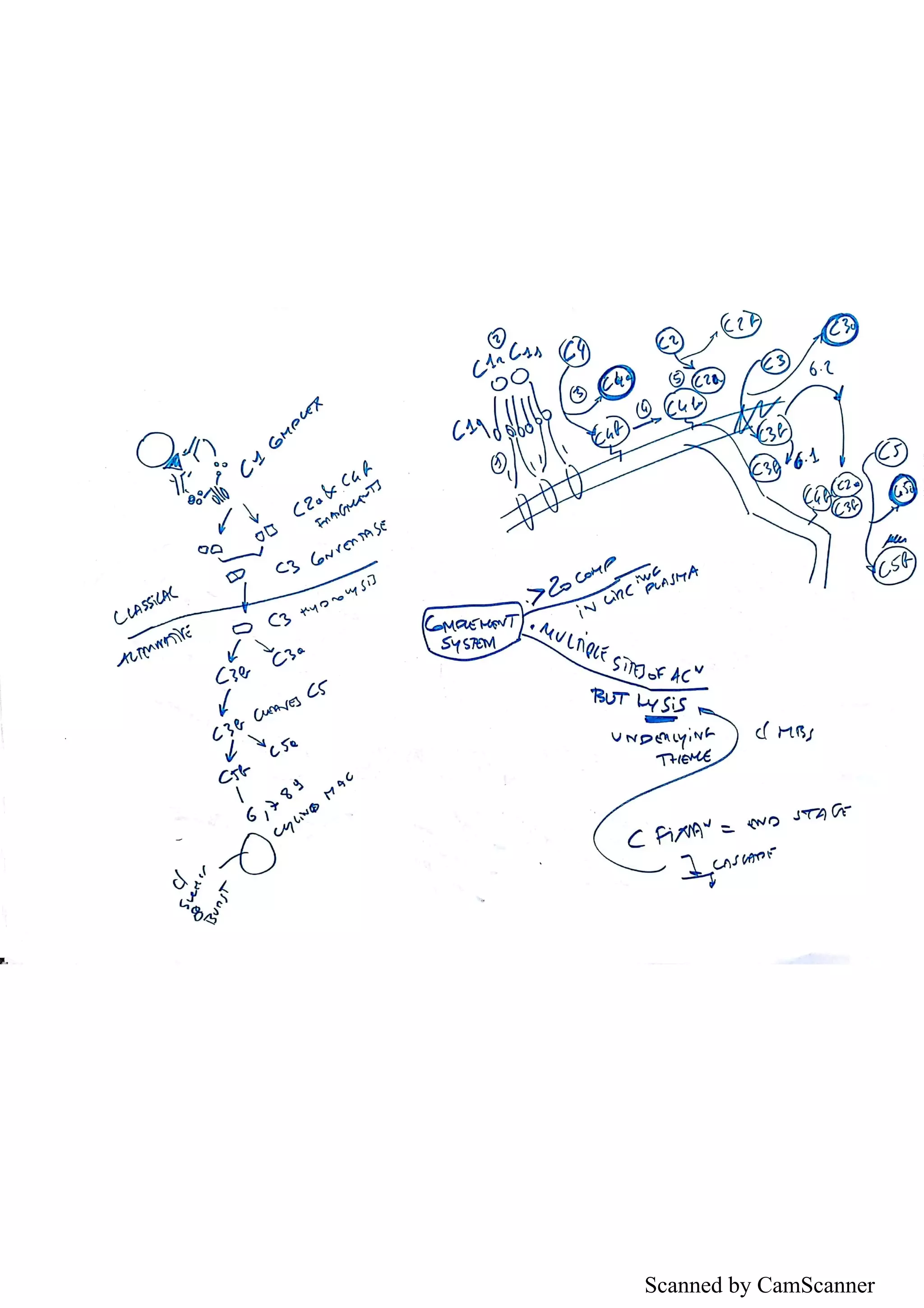 Mind Maps - Robbins Pathology - Inflammation & Repair - Summary | PDF