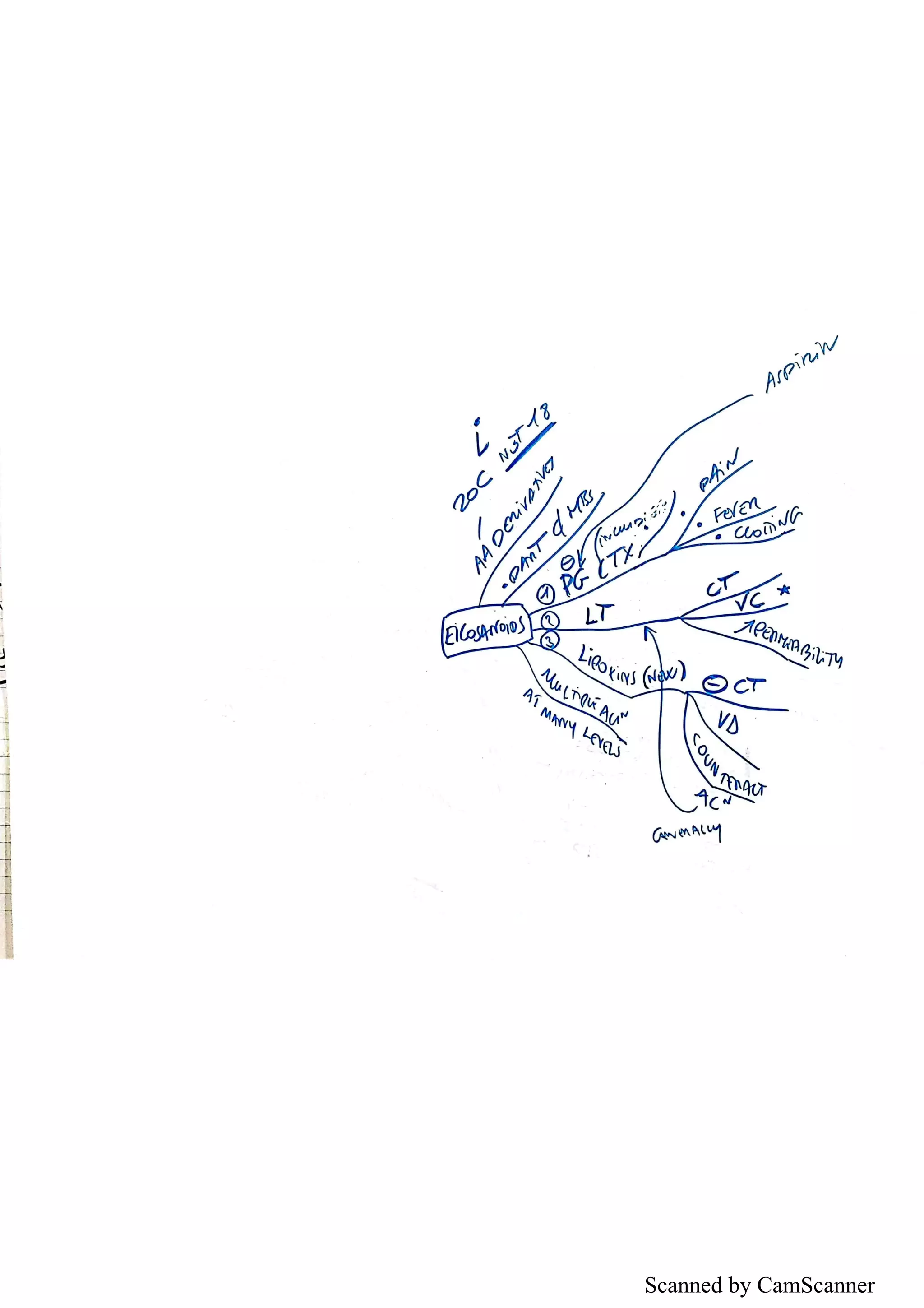 Mind Maps - Robbins Pathology - Inflammation & Repair - Summary | PDF
