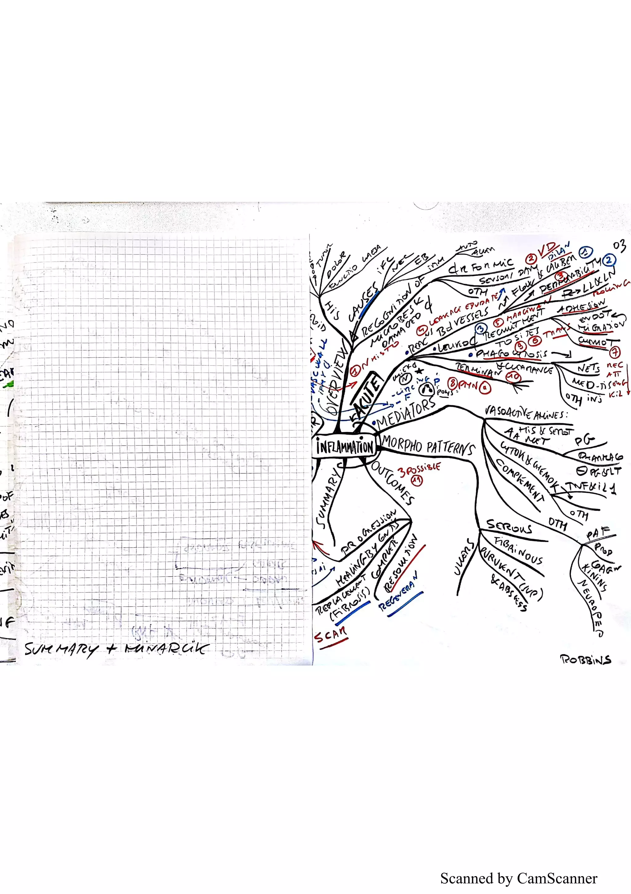 Mind Maps - Robbins Pathology - Inflammation & Repair - Summary | PDF