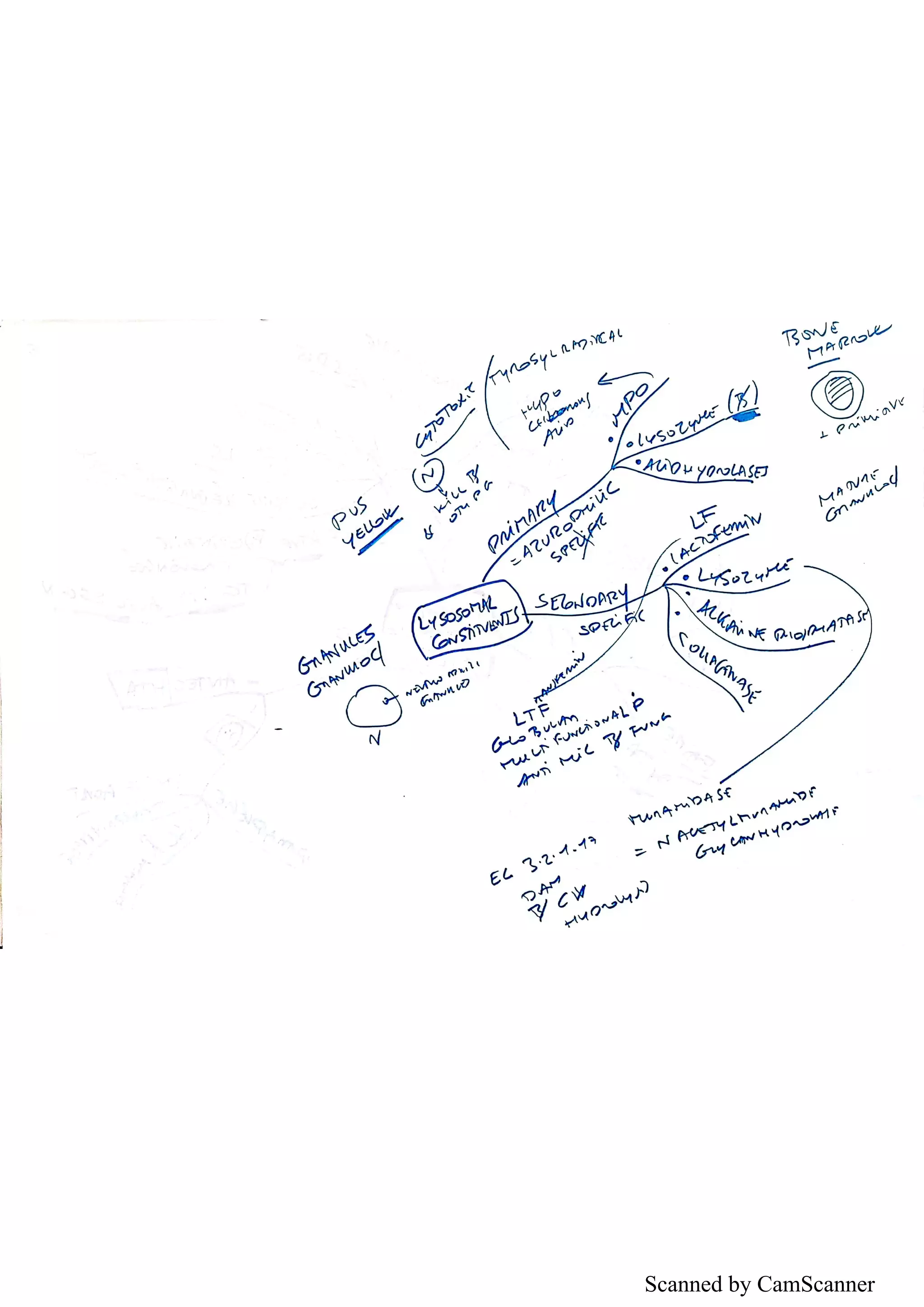 Mind Maps - Robbins Pathology - Inflammation & Repair - Summary | PDF