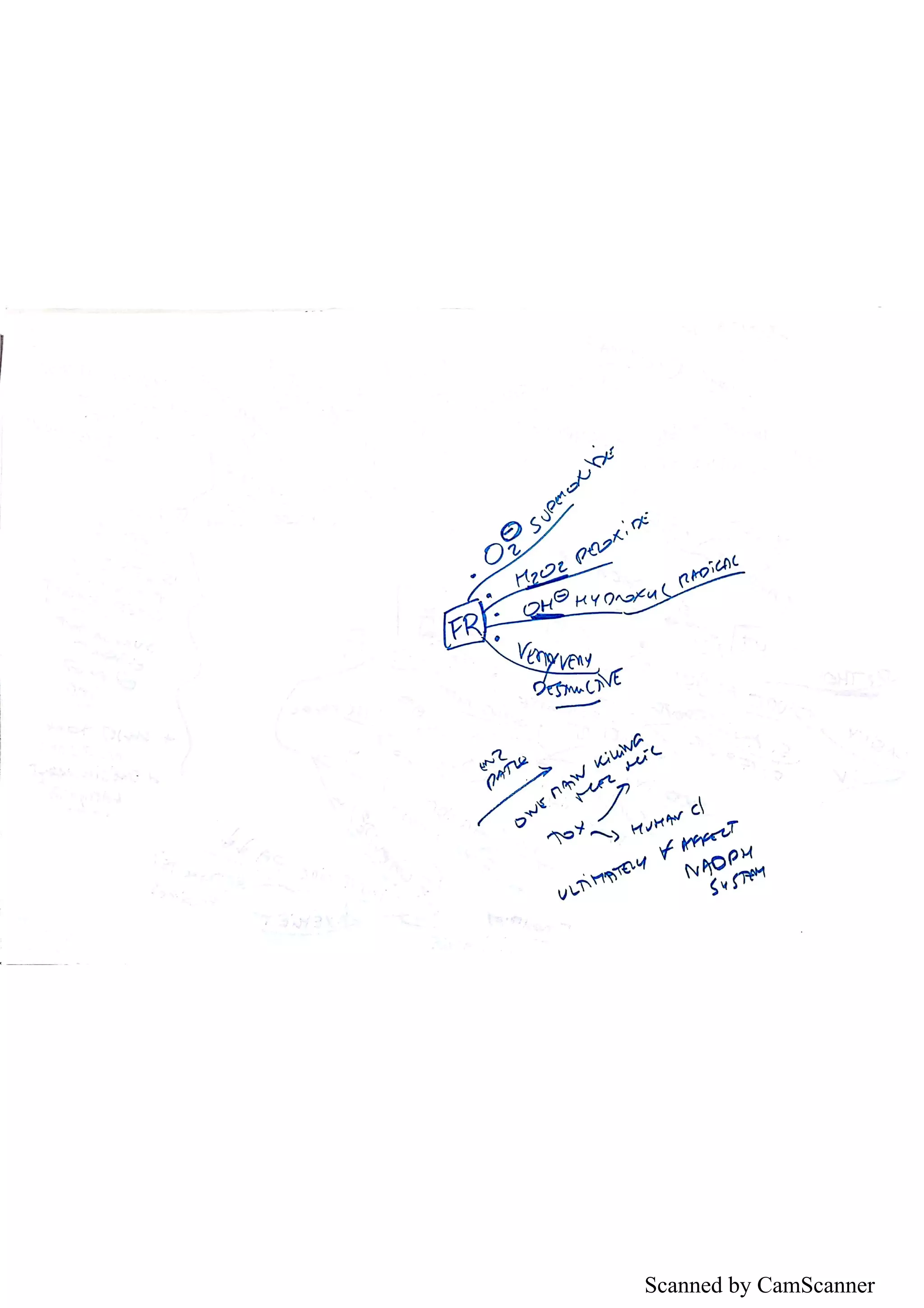 Mind Maps - Robbins Pathology - Inflammation & Repair - Summary | PDF