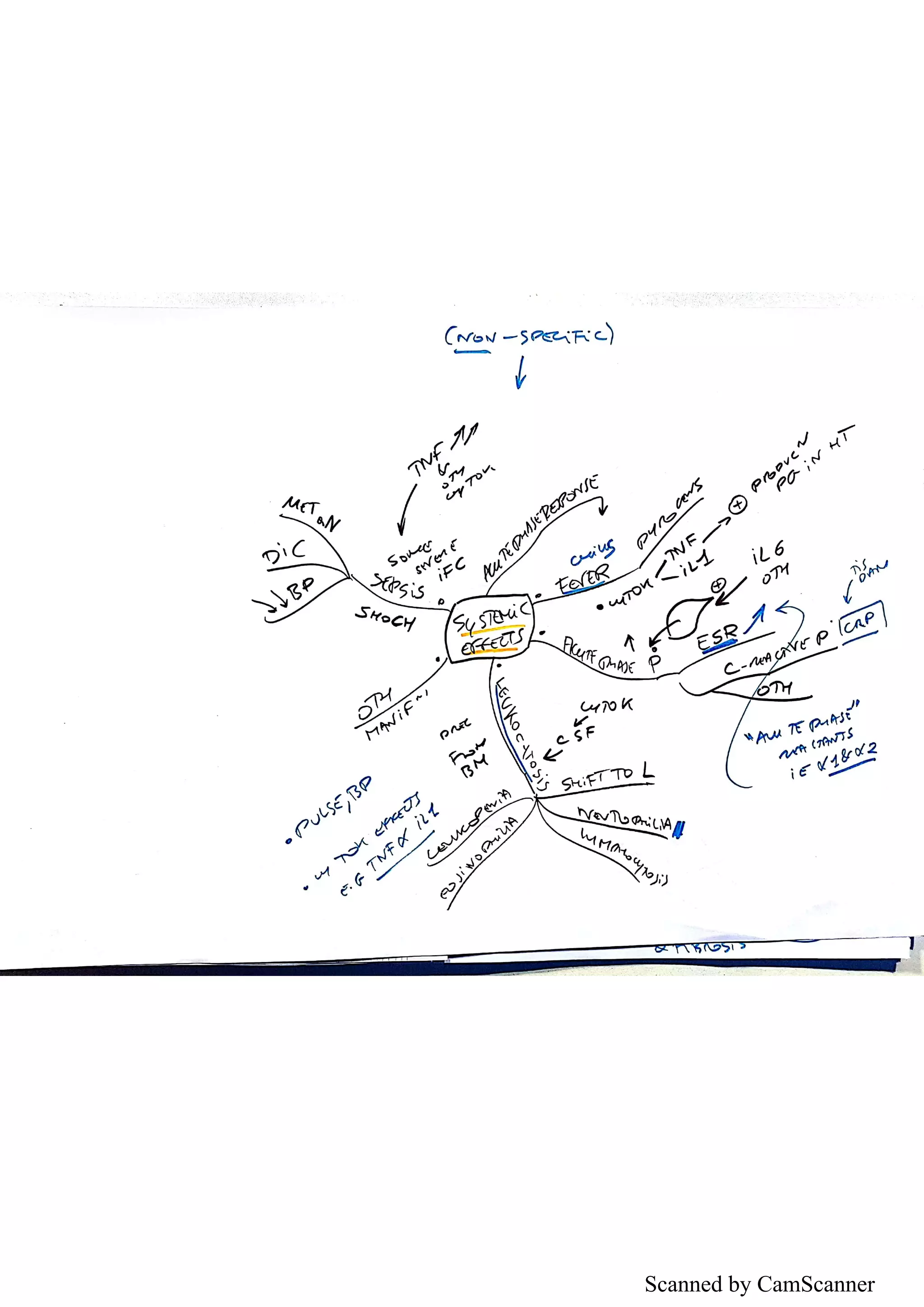 Mind Maps - Robbins Pathology - Inflammation & Repair - Summary | PDF