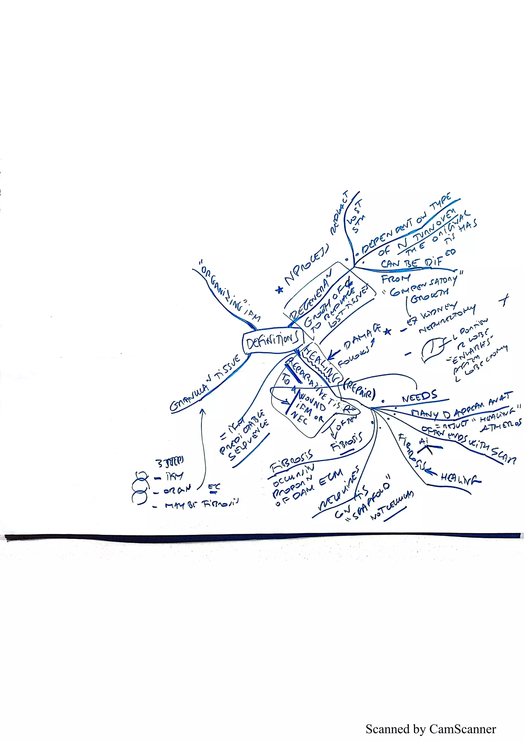 Mind Maps - Robbins Pathology - Inflammation & Repair - Summary | PDF