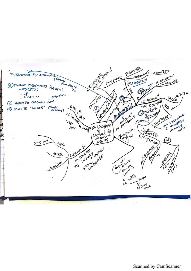 Mind Maps - Robbins Pathology - Inflammation & Repair - Summary | PDF