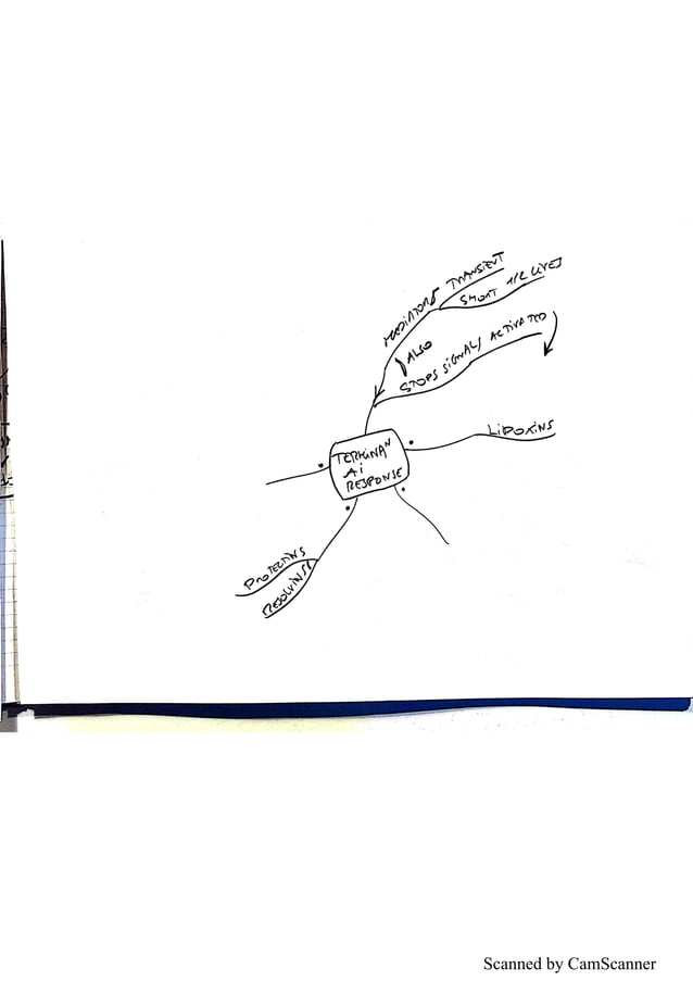 Mind Maps - Robbins Pathology - Inflammation & Repair - Summary | PDF
