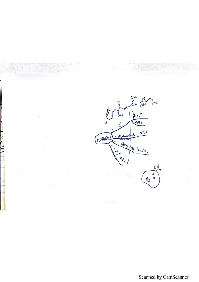 Mind Maps - Robbins Pathology - Inflammation & Repair - Summary | PDF