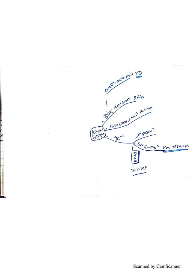 Mind Maps - Robbins Pathology - Inflammation & Repair - Summary | PDF