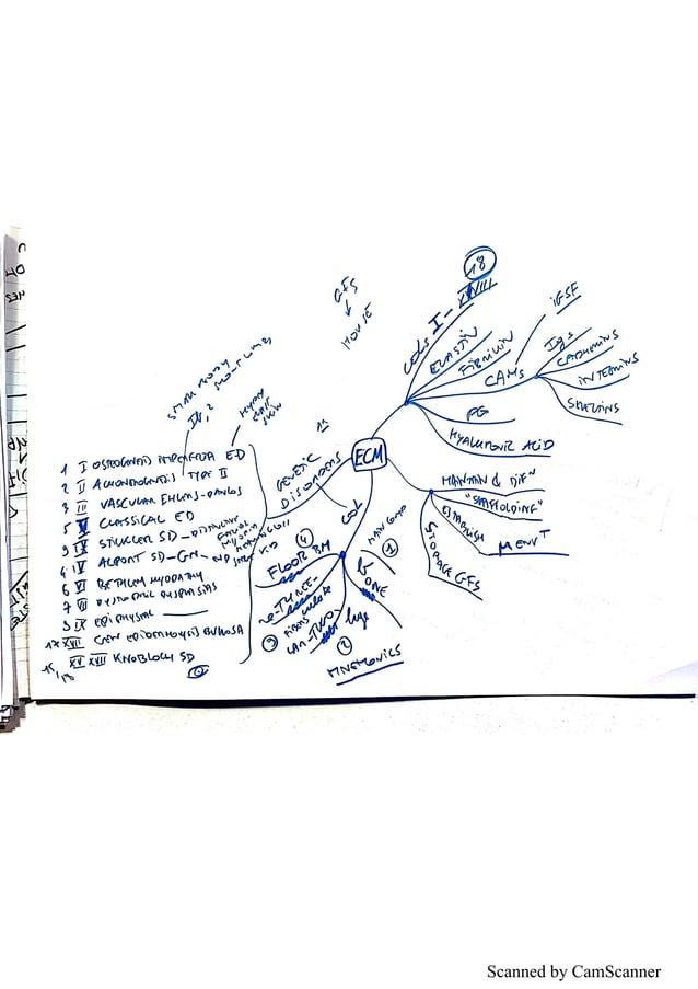 Mind Maps - Robbins Pathology - Inflammation & Repair - Summary | PDF