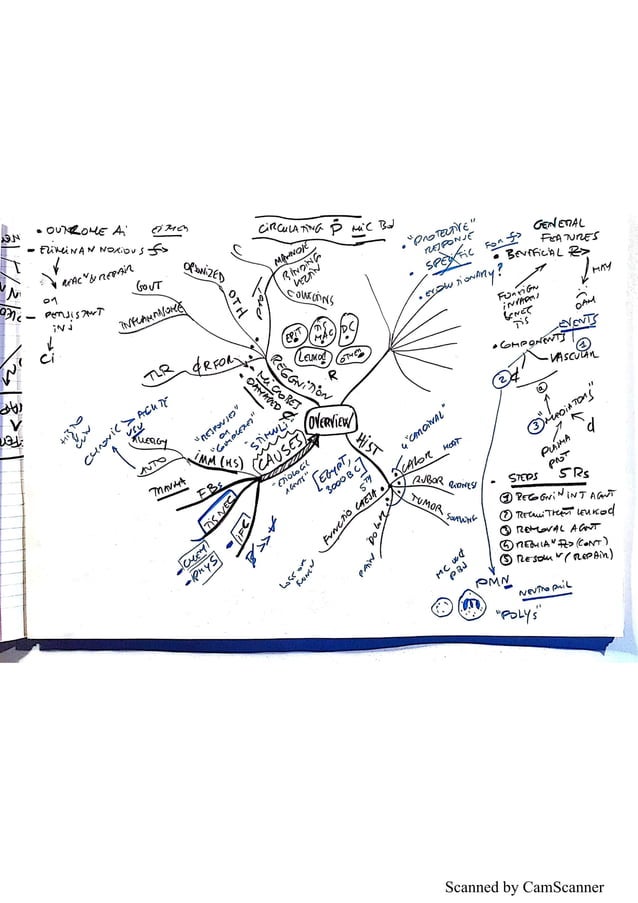 Mind Maps - Robbins Pathology - Inflammation & Repair - Summary | PDF