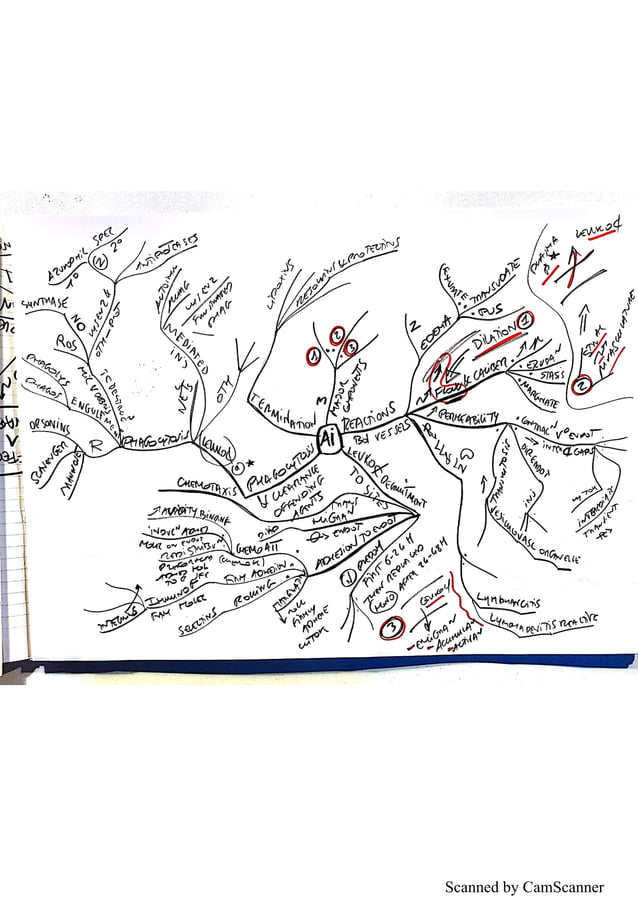 Mind Maps - Robbins Pathology - Inflammation & Repair - Summary | PDF