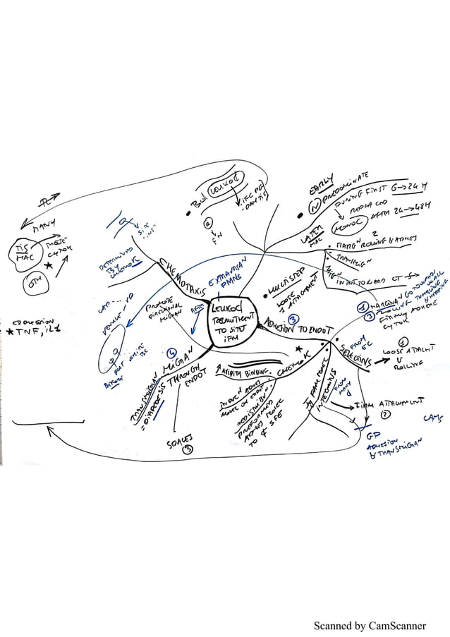Mind Maps - Robbins Pathology - Inflammation & Repair - Summary | PDF