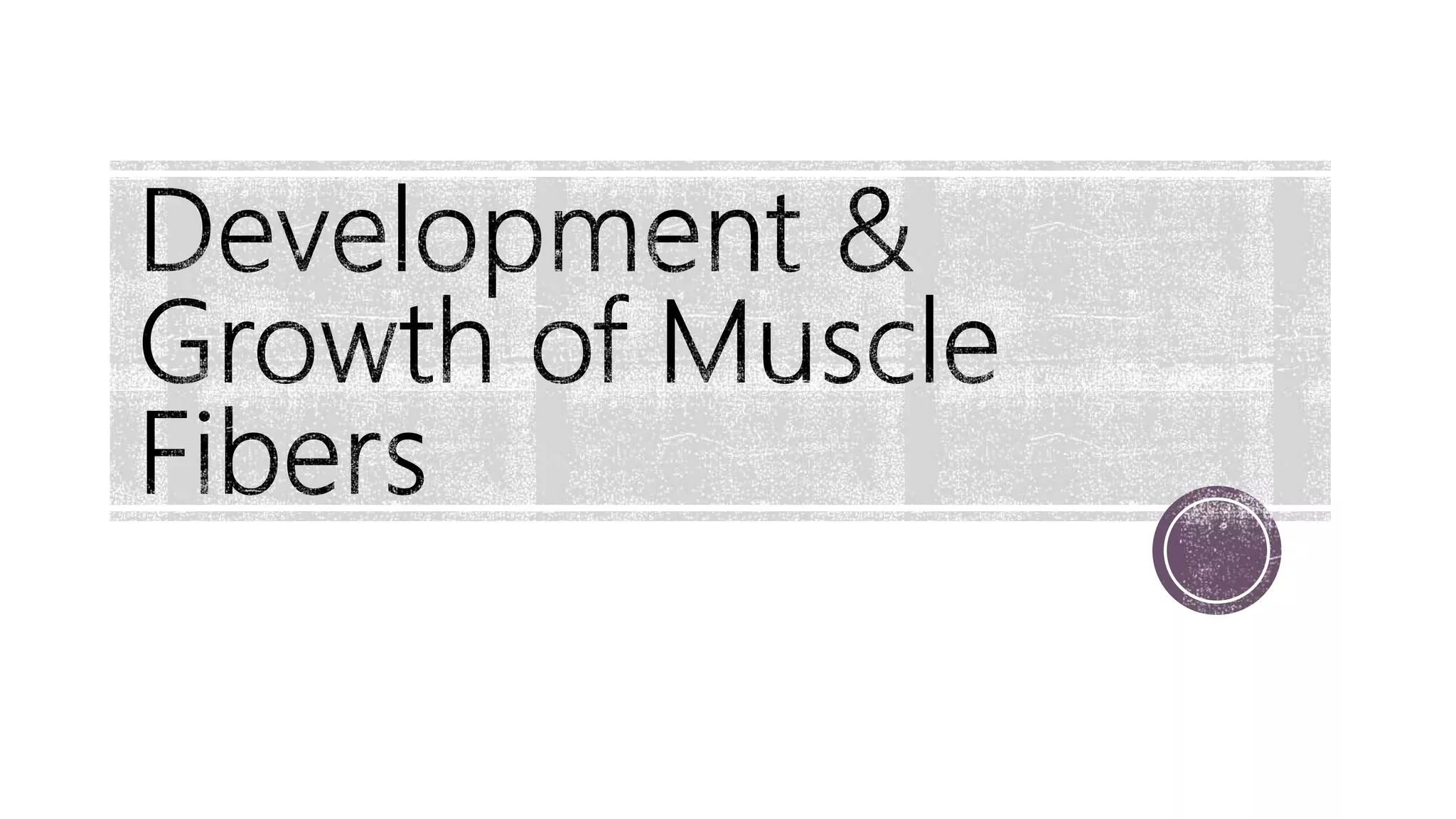Development of muscle fibers | PPTX
