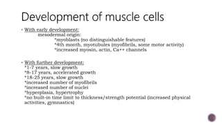 Development of muscle fibers | PPTX