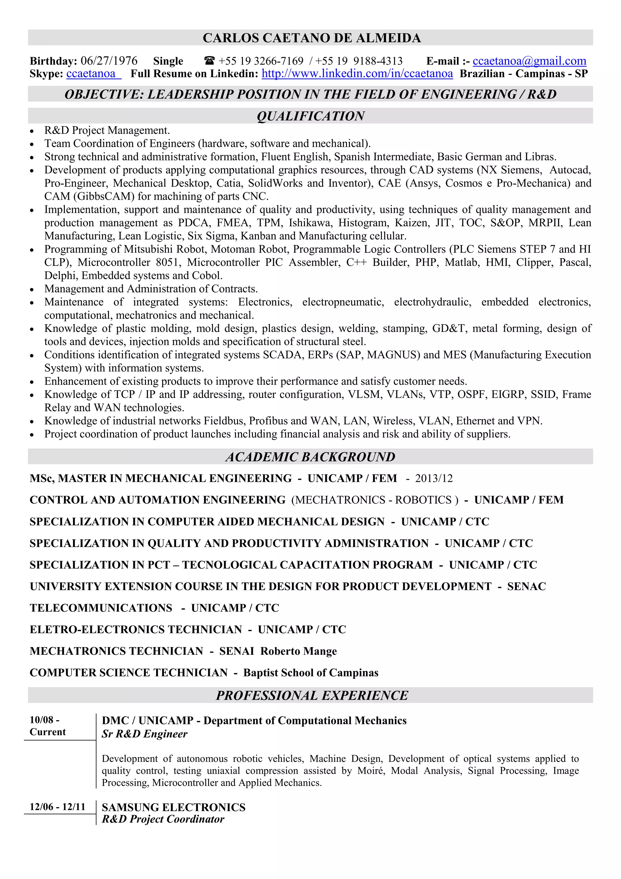 Summary CV Caetano ENG | PDF