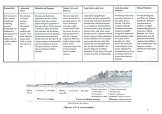 Summary diagrams for a2 | DOC