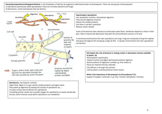 Summary diagrams for a2 | DOC