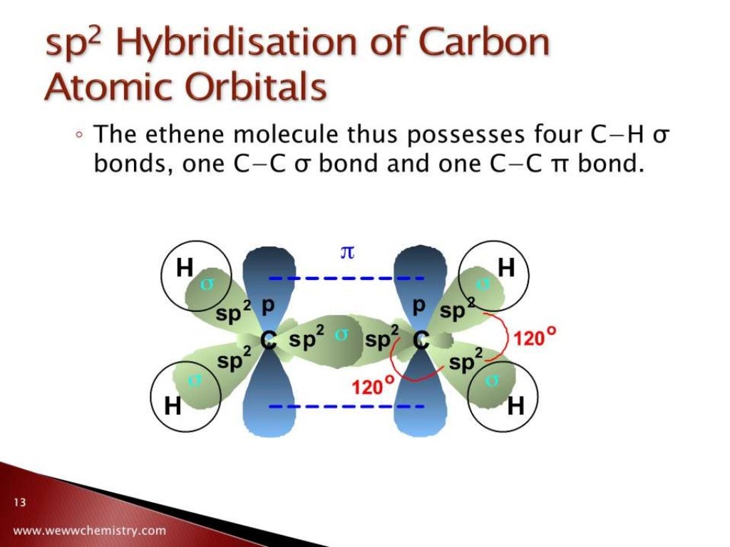 Hybridization Of Co2