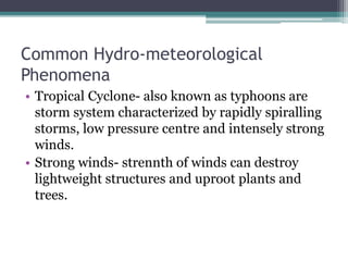 Summary Natural Hazard.pptx