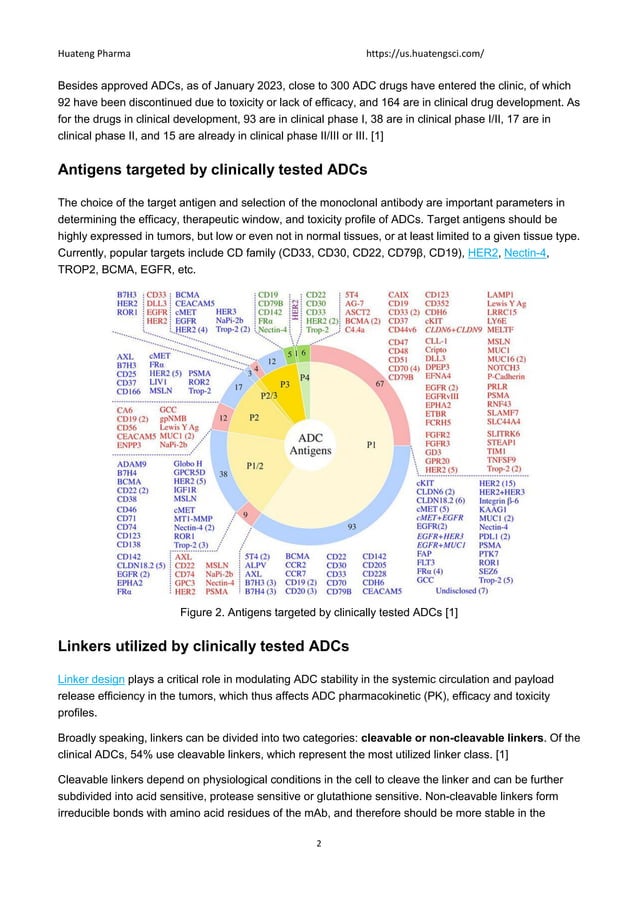 Summary of ADCs in Clinical Phase 3.pdf