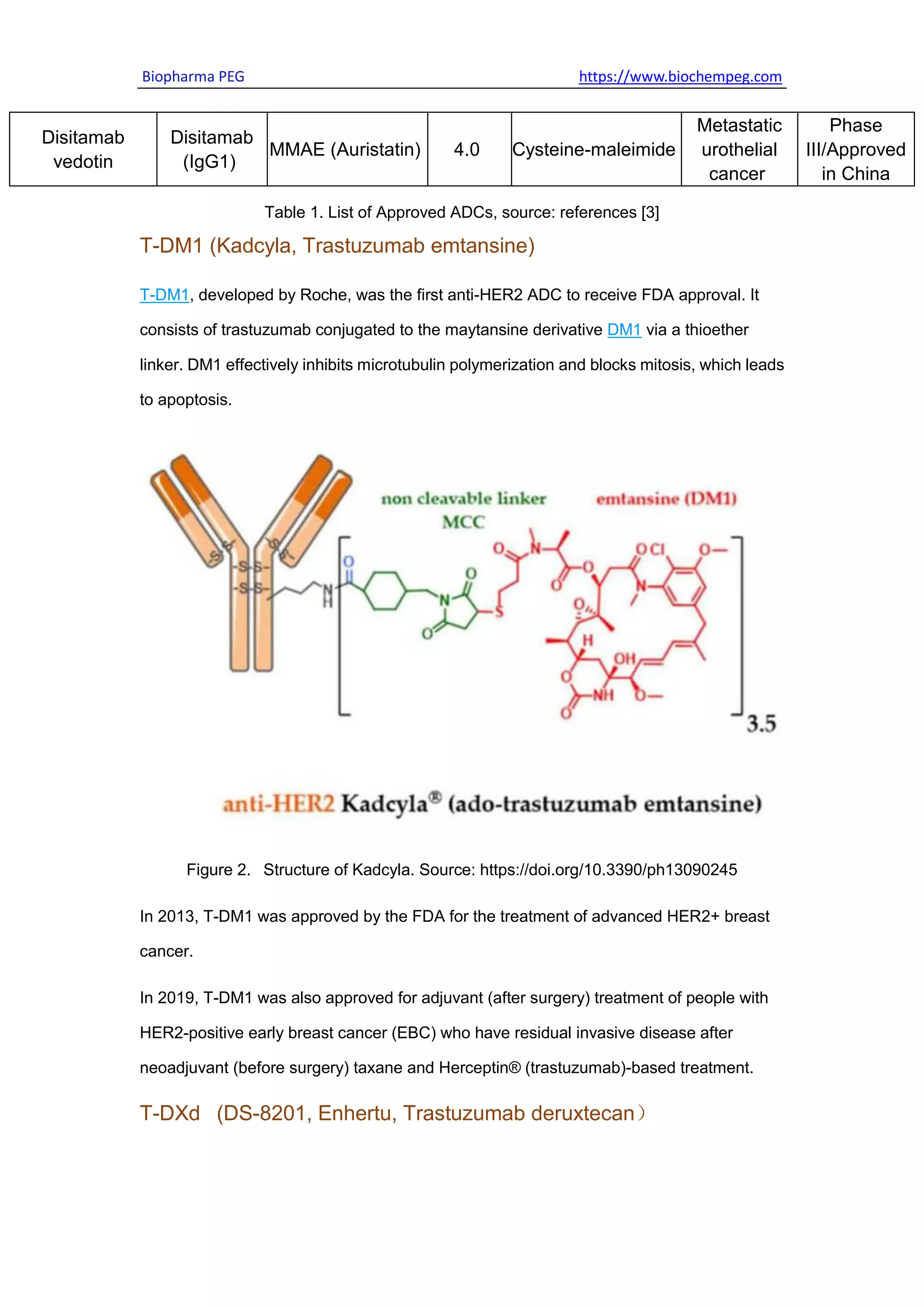 Summary of Approved HER2 ADCs on The Market & in Clinical Trials.pdf
