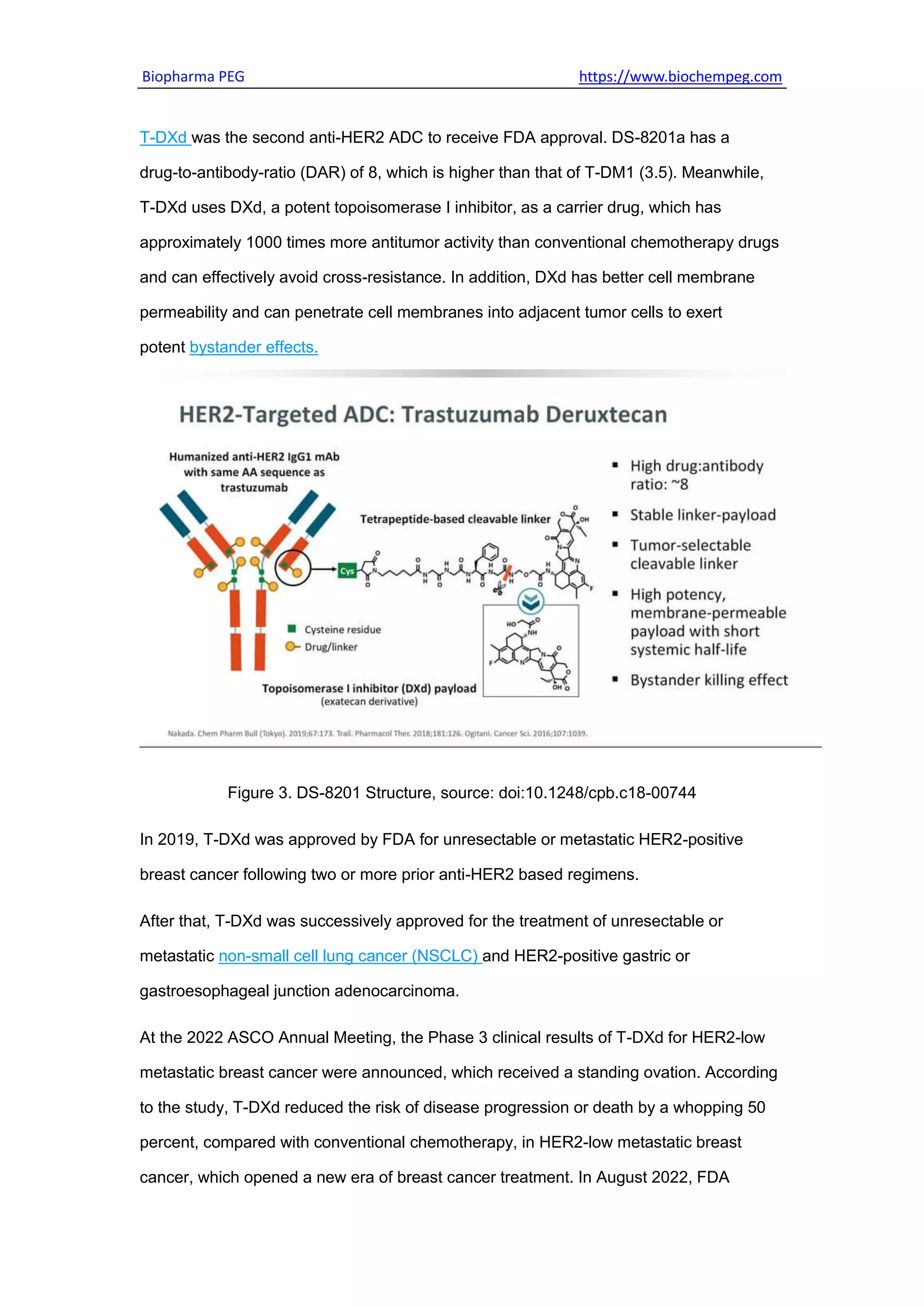 Summary of Approved HER2 ADCs on The Market & in Clinical Trials.pdf
