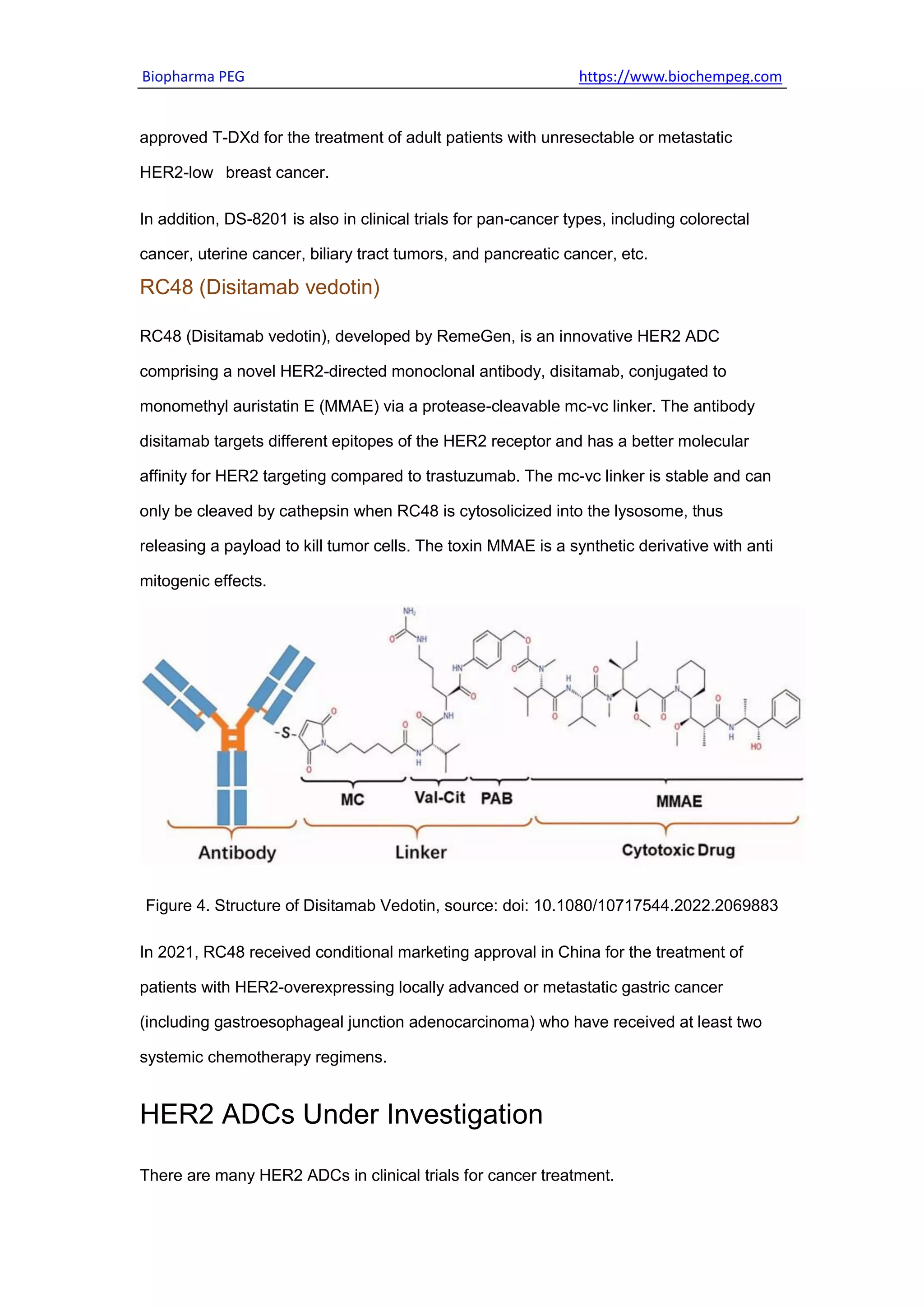 Summary of Approved HER2 ADCs on The Market & in Clinical Trials.pdf