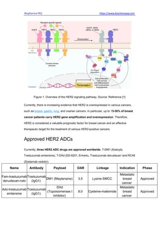 Summary of Approved HER2 ADCs on The Market & in Clinical Trials.pdf