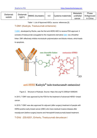 Summary of Approved HER2 ADCs on The Market & in Clinical Trials.pdf