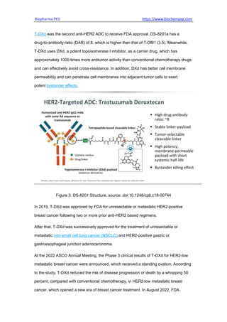Summary of Approved HER2 ADCs on The Market & in Clinical Trials.pdf