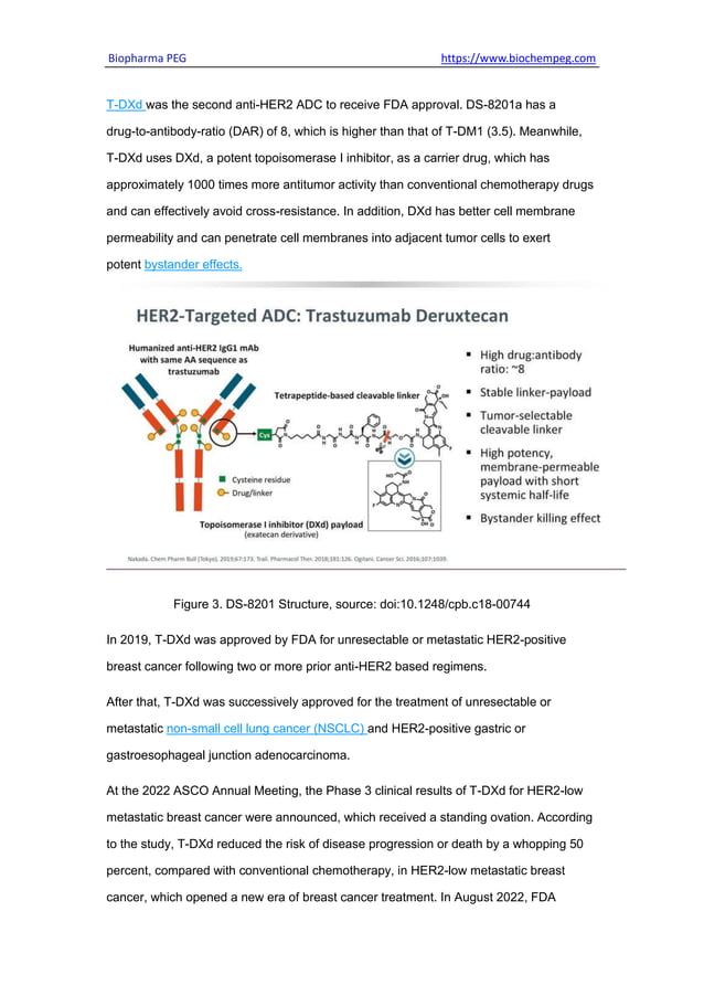 Summary of Approved HER2 ADCs on The Market & in Clinical Trials.pdf