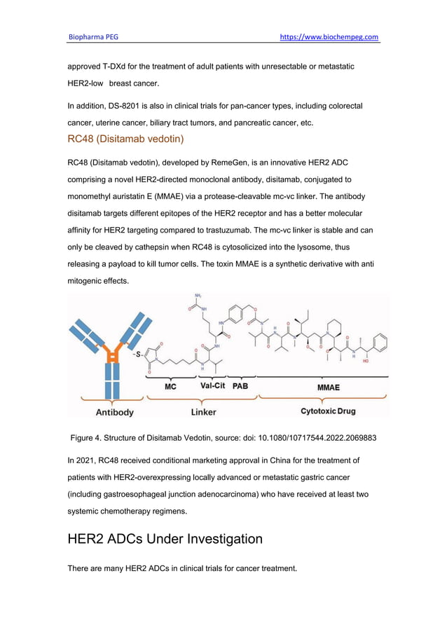 Summary of Approved HER2 ADCs on The Market & in Clinical Trials.pdf
