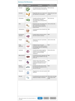 Summary of cell structures | PDF | Biological Sciences | Science