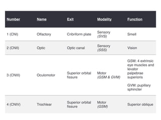Summary of cranial nerves | PPT