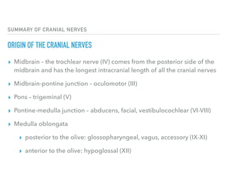 Summary of cranial nerves | PDF