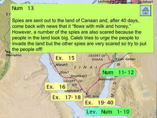 Summary of Exodus, Leviticus, Numbers and Deuteronomy | PPT