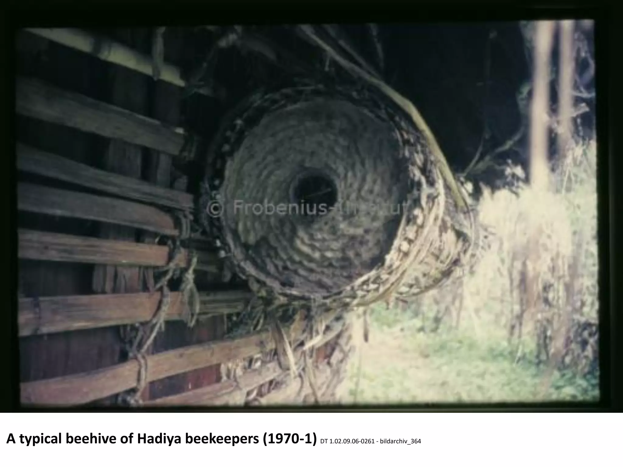 History of the Hadiya (Hadiyya) People in Ethiopia - An Overview | PDF