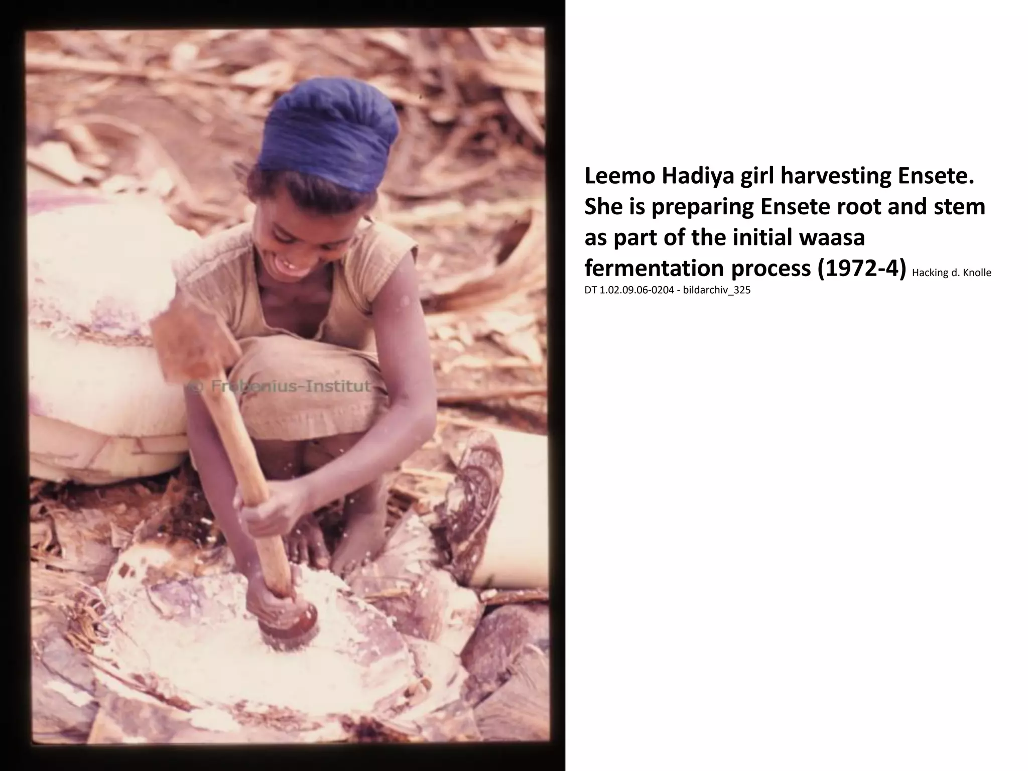 History of the Hadiya (Hadiyya) People in Ethiopia - An Overview | PDF