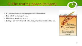 Summary of hair structure | PPT