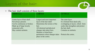 Summary of hair structure | PPTX